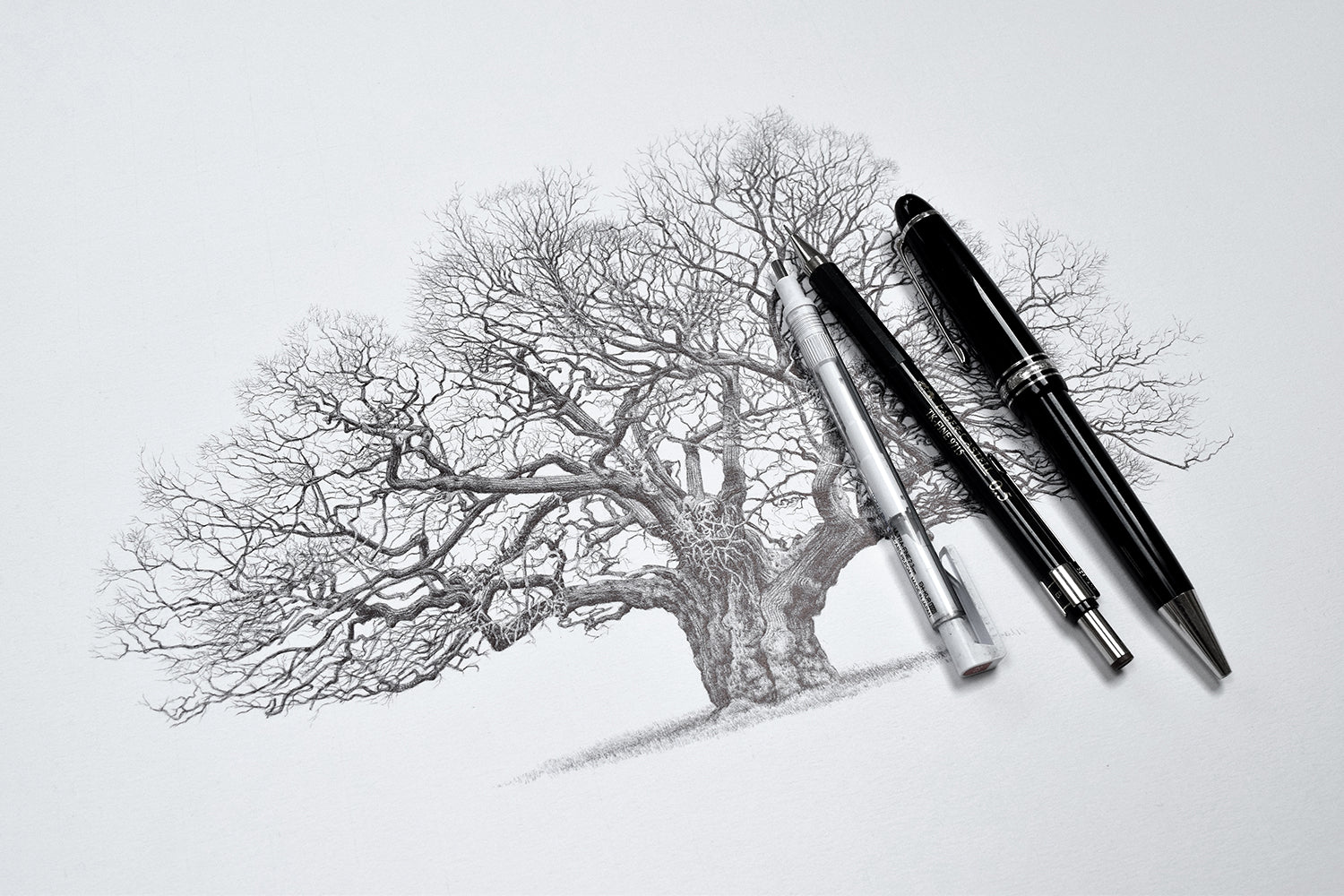 GPS Trees. Tree drawings by Richard Geraint Evans – GPS TREES