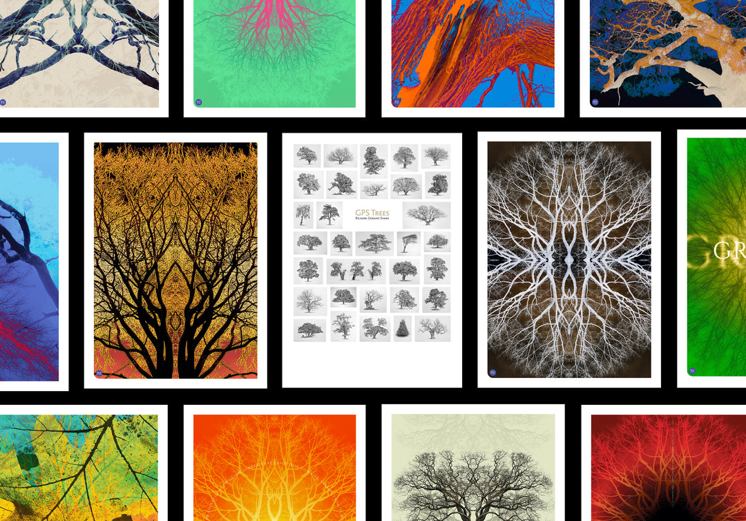 GPS Trees. Tree drawings by Richard Geraint Evans – GPS TREES