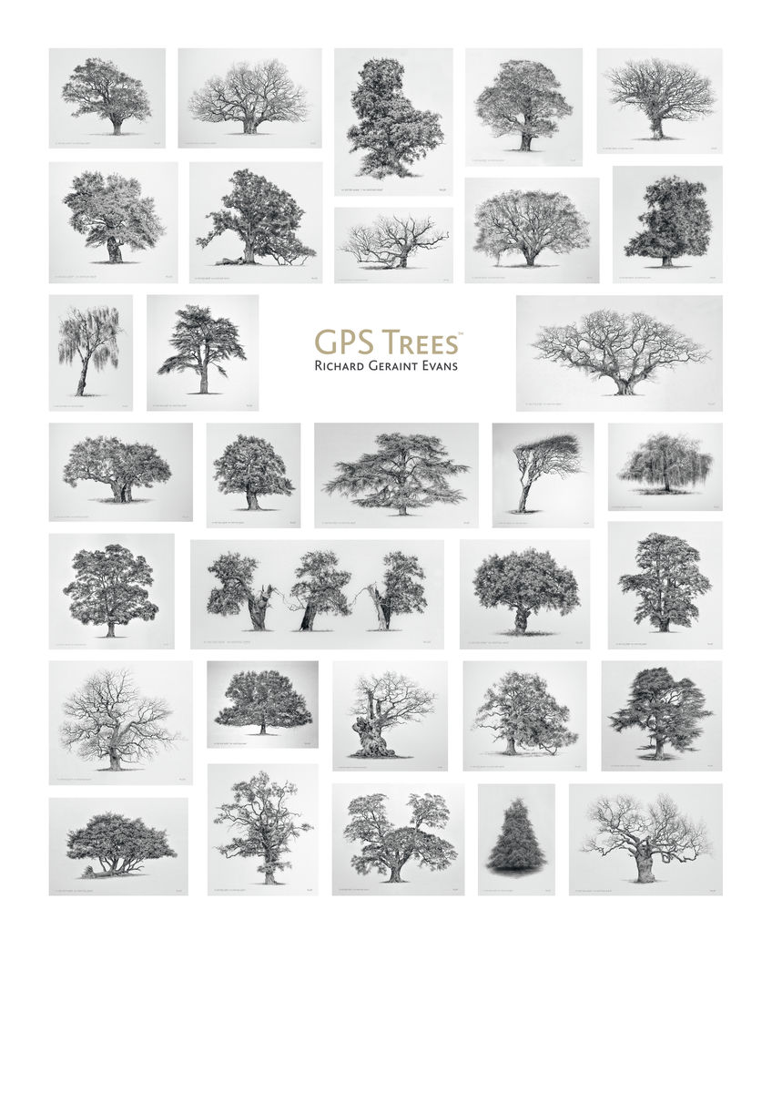 GPS Trees RGE – GPS TREES