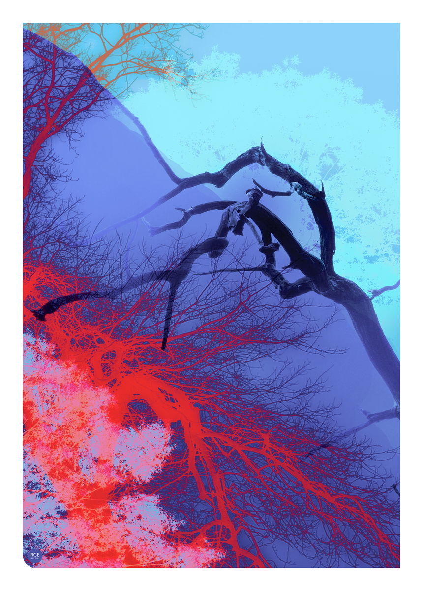 Posters – GPS TREES